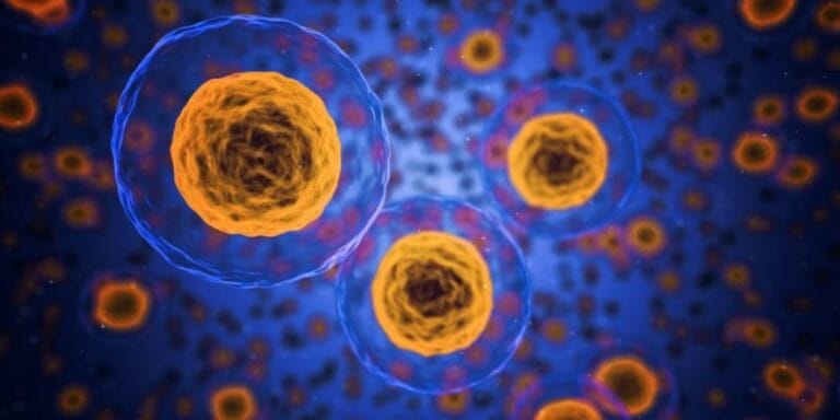 Κύτ­τα­ρο: η μονά­δα της ζωής | My School Lab